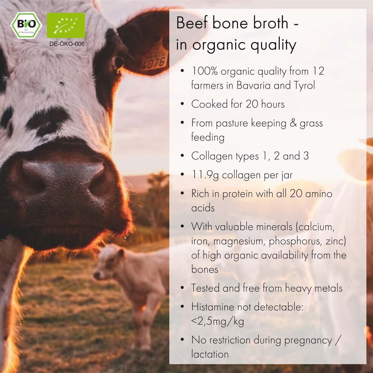Tasting package bone broth - organic quality. Buy online! – JARMINO UK